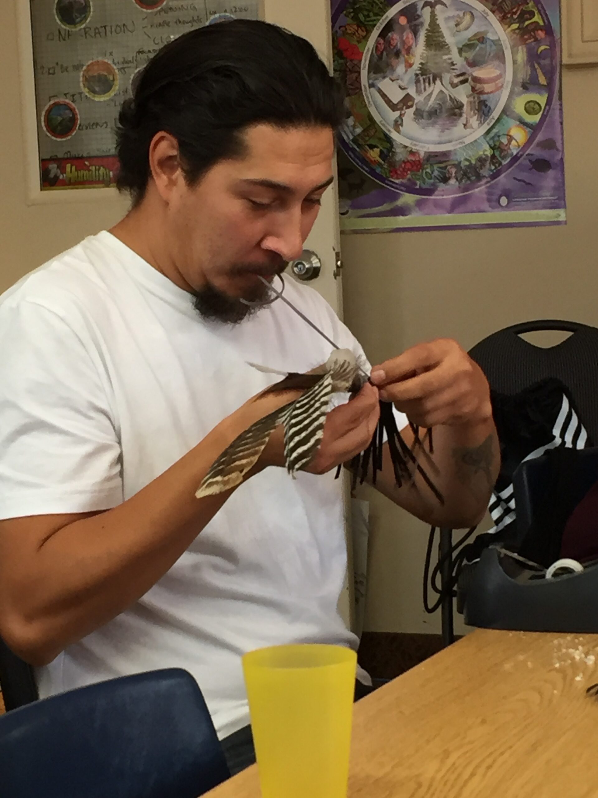 workshops - Pass The Feather