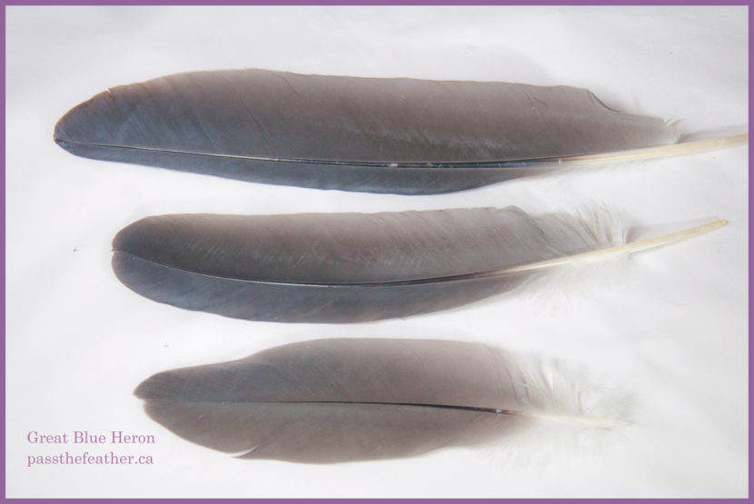 feathers – Pass The Feather