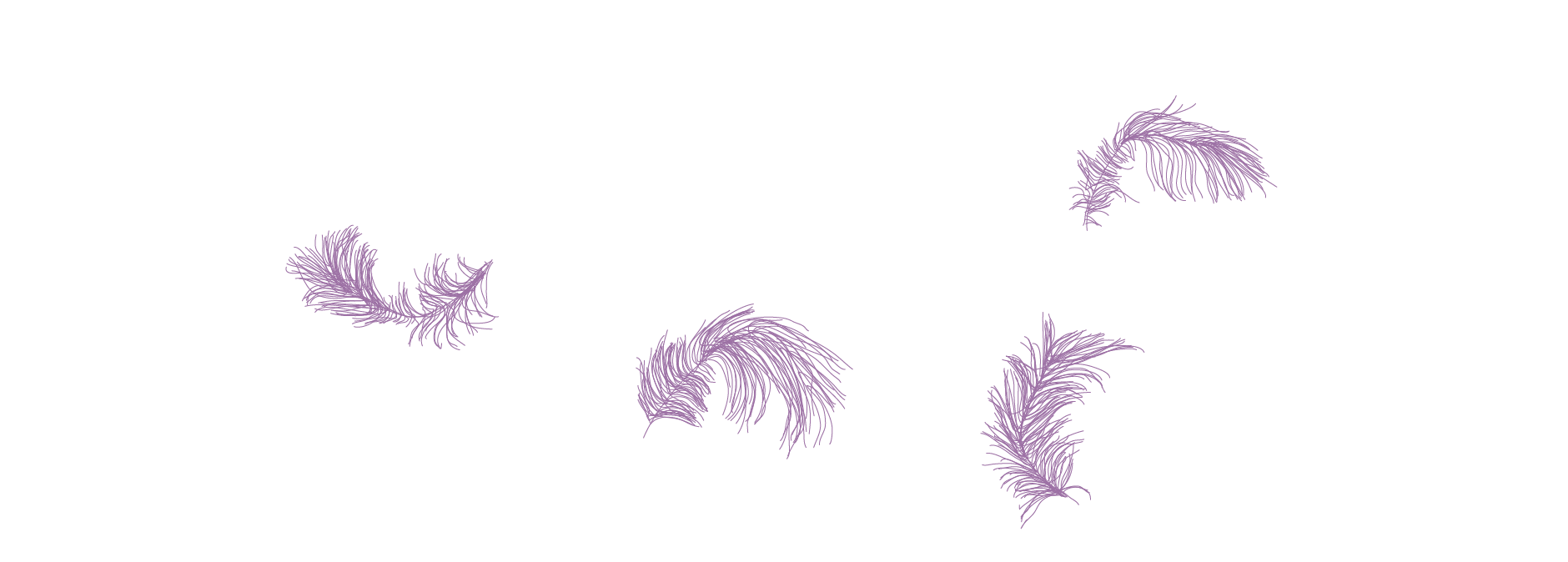 feathers - Pass The Feather