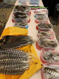 workshops - Pass The Feather