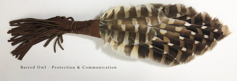 Pass The Feather – by Dawn Iehstoseranón:nha | Hodinohso:ni Feather ...