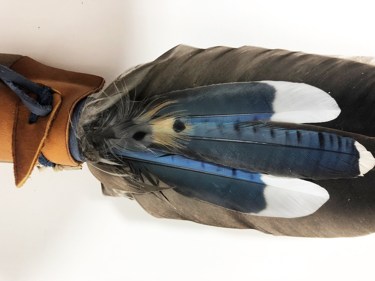 contact - Pass The Feather