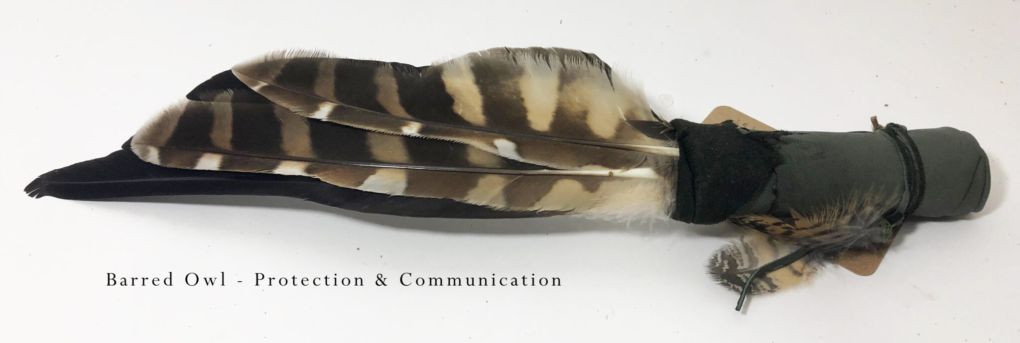 Pass The Feather – by Dawn Iehstoseranón:nha | Hodinohso:ni Feather ...