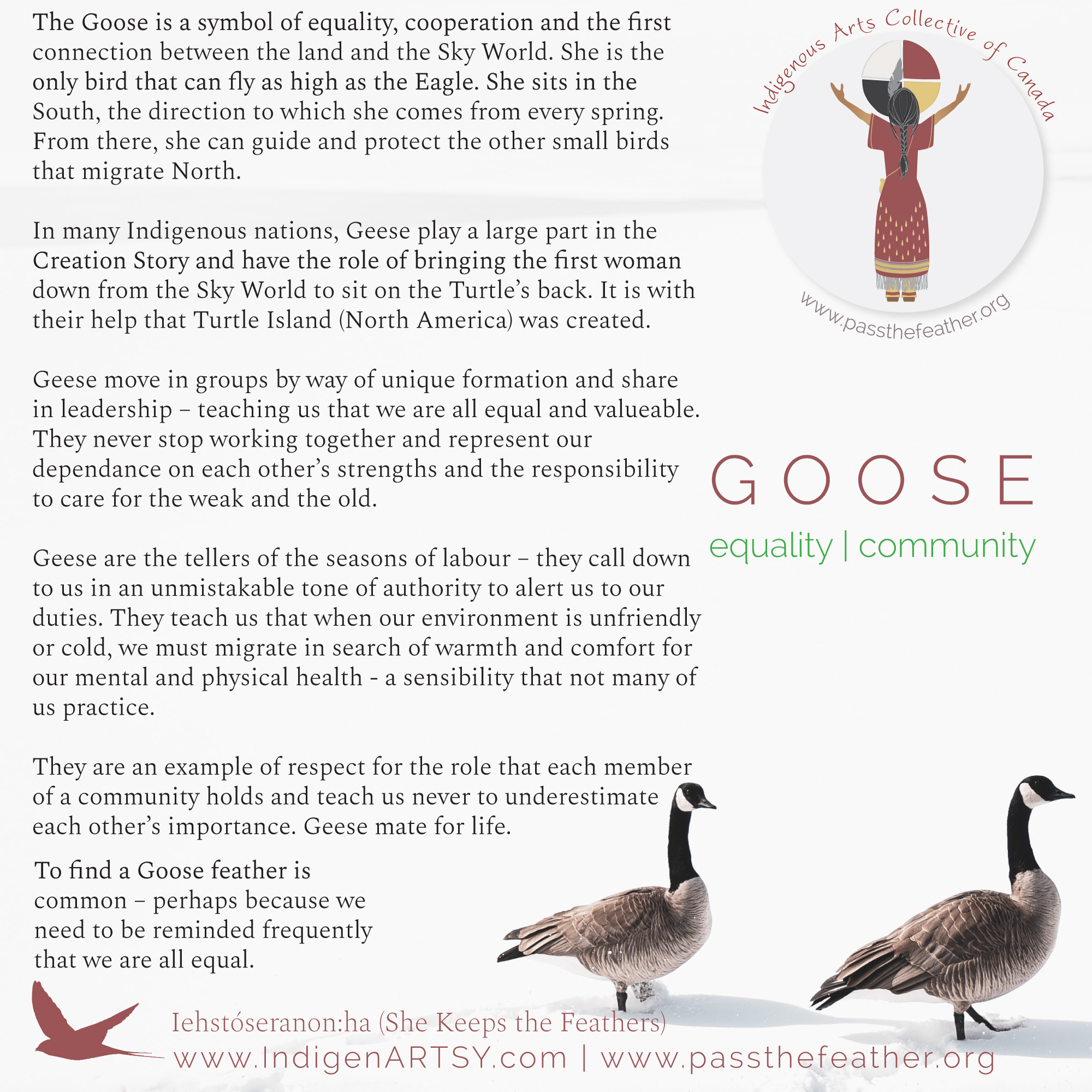 feathers – Pass The Feather