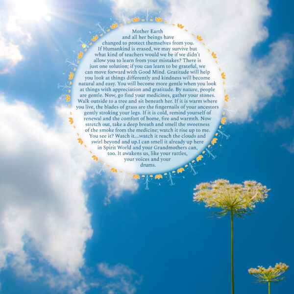 Pass The Feather – by Dawn Iehstoseranón:nha | Hodinohso:ni Feather ...